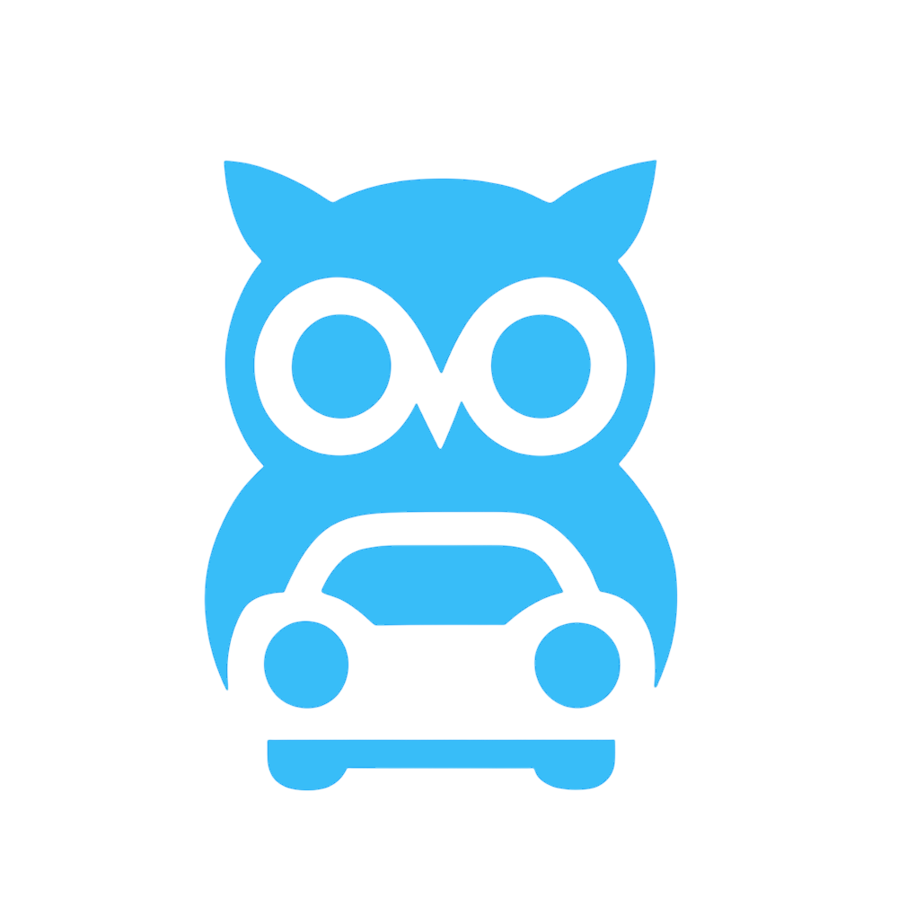 DriveSage - UK's First AI MOT Checker | Save Money on Used Cars
